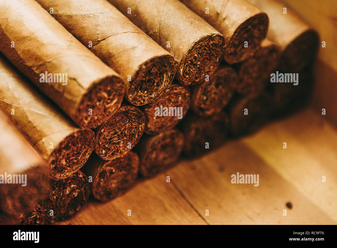 Cuban Cigars, Stacked in a spanish cedar humidor Stock Photo - Alamy