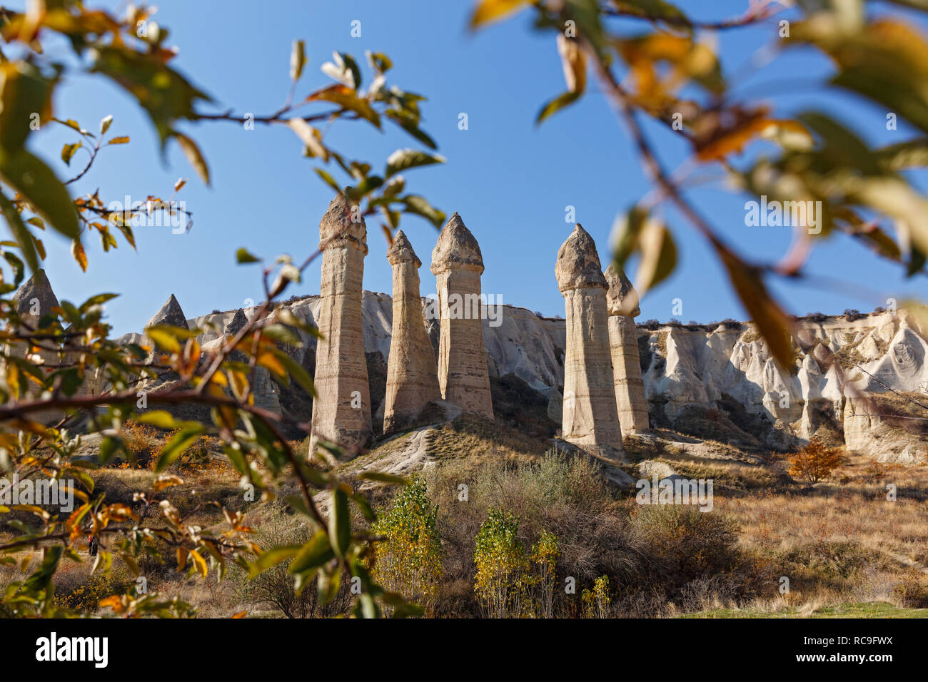 Rocks in the form of huge phalli in the valley of Love, Cappadocia ...
