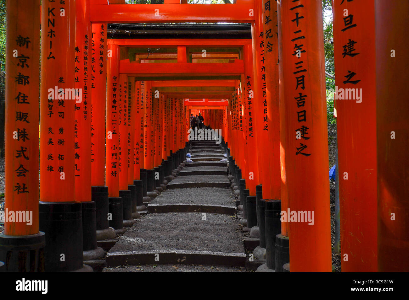 Japan, Kyoto, Red Tori Gate at Fushimi Inari Taisha is the head shrine ...