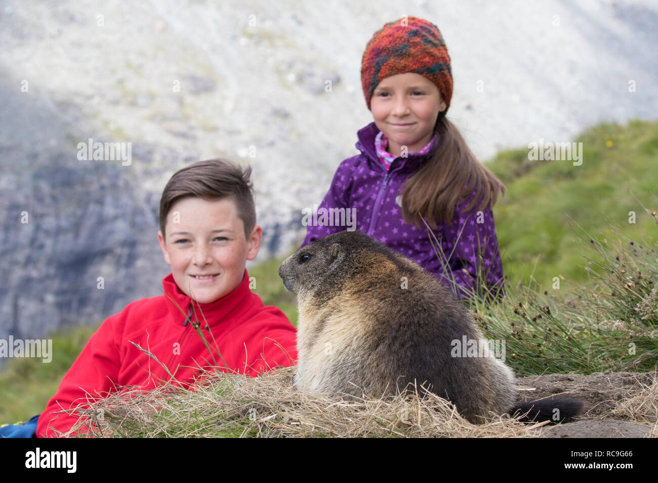 Two children looking at emerging Alpine marmot (Marmota marmota) in ...