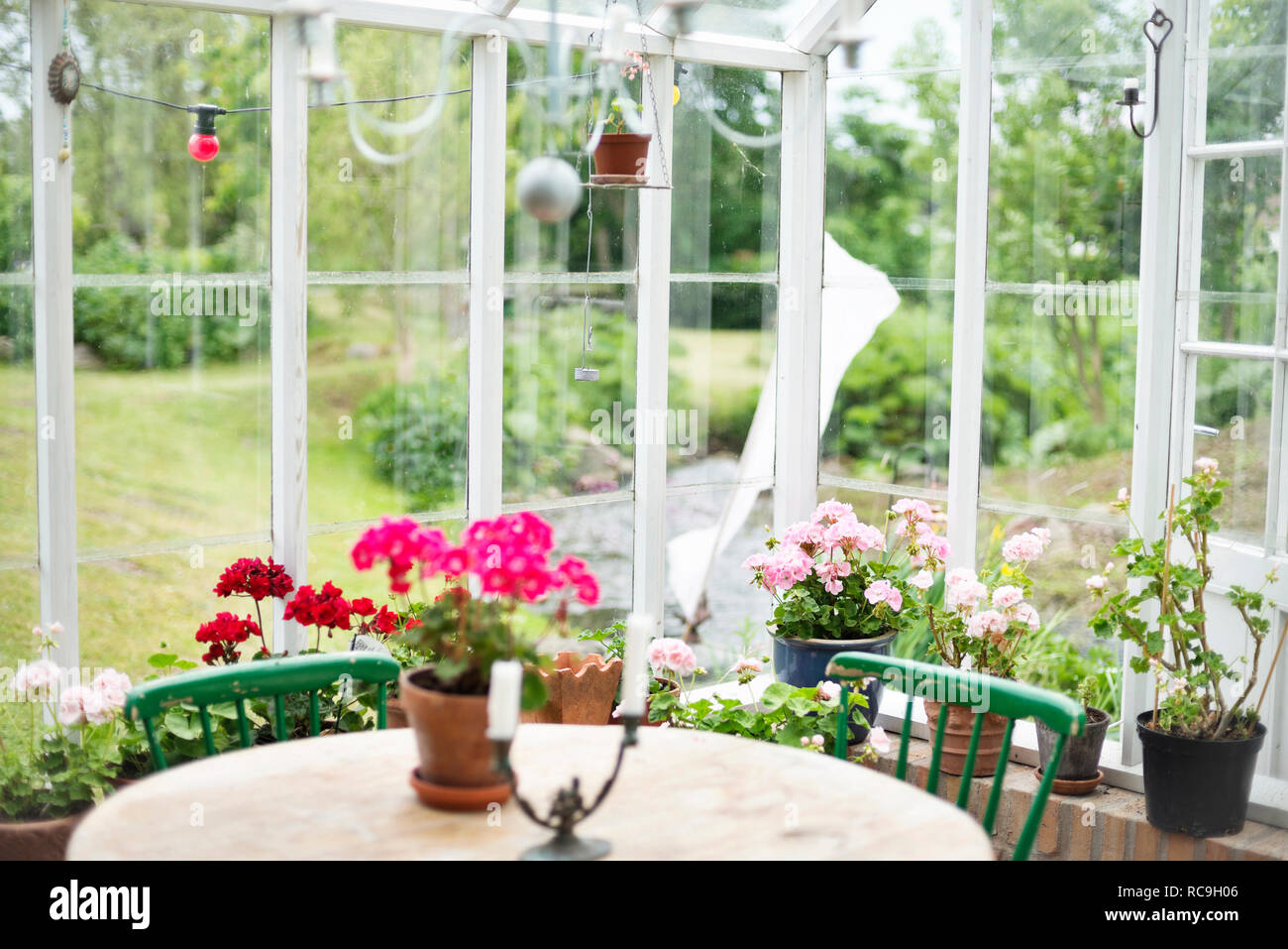Flowers in conservatory Stock Photo - Alamy