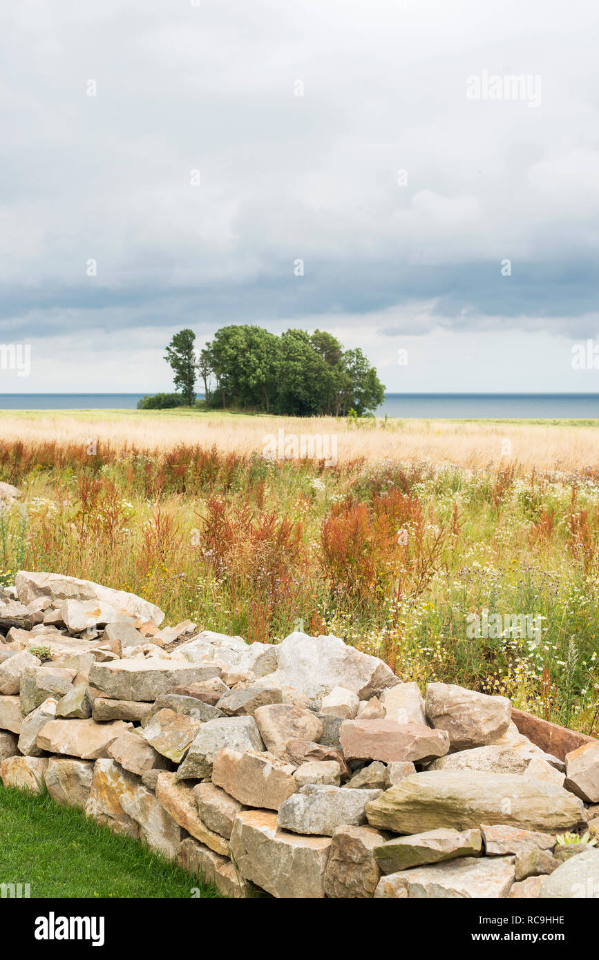 Landscape of meadow with sea Stock Photo - Alamy
