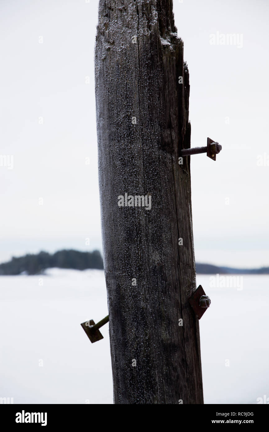 Screws in wooden pole Stock Photo - Alamy