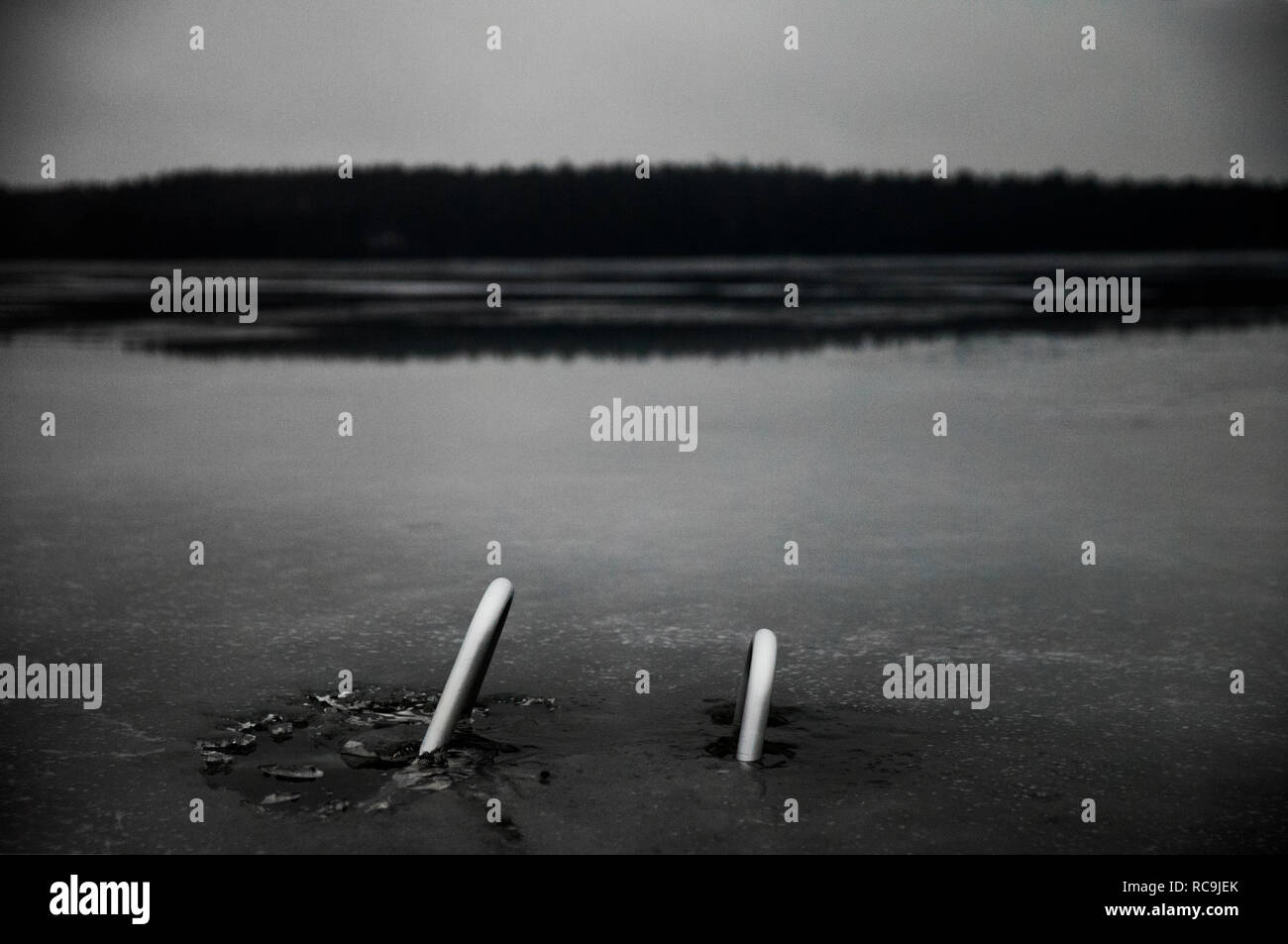 Ladder in water Stock Photo - Alamy