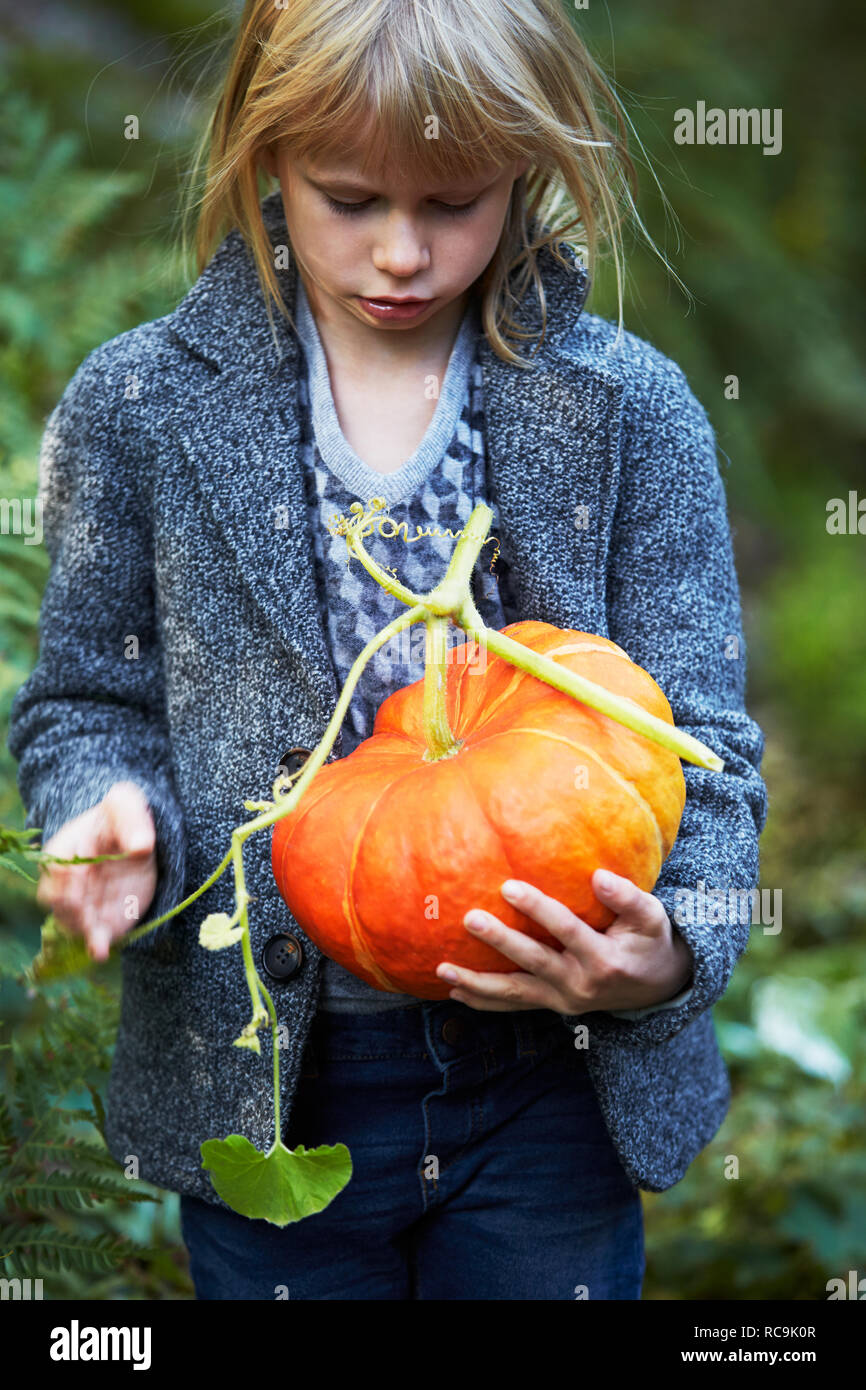 Pumpkin holding hi-res stock photography and images - Alamy