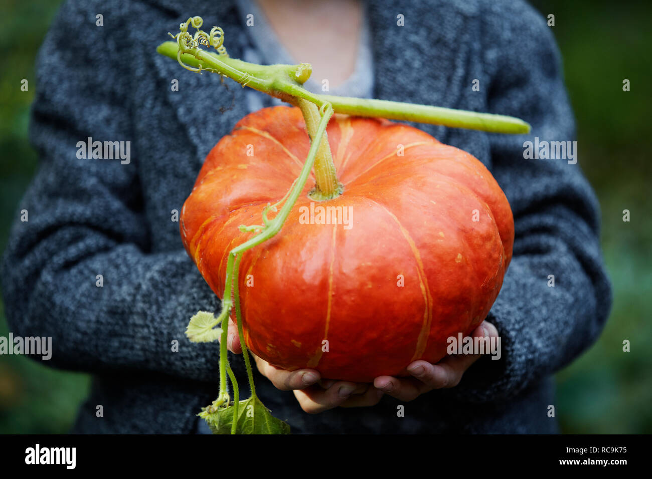 Show holding hi-res stock photography and images - Alamy
