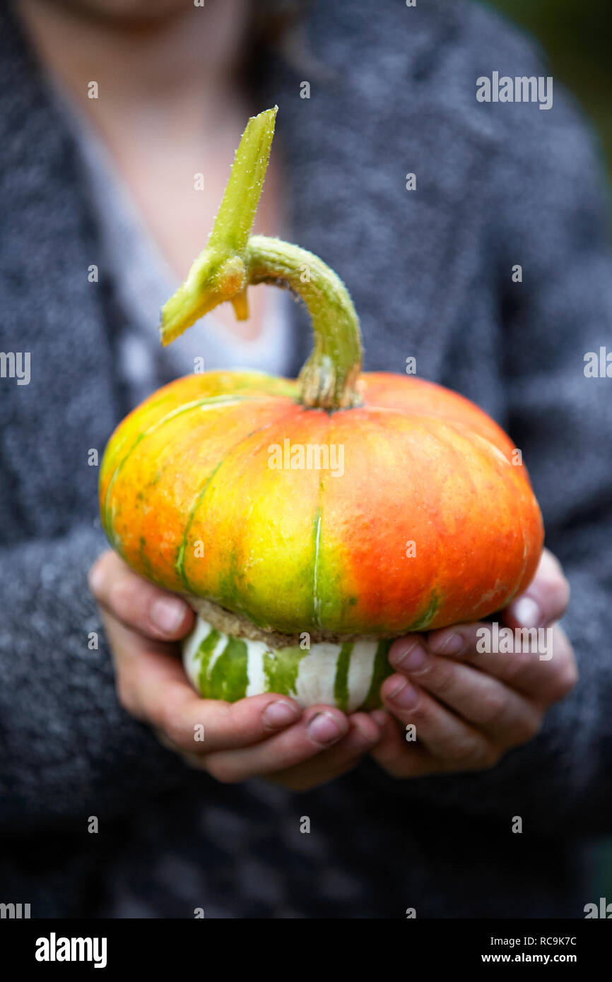 Girl holding pumpkin Stock Photo - Alamy