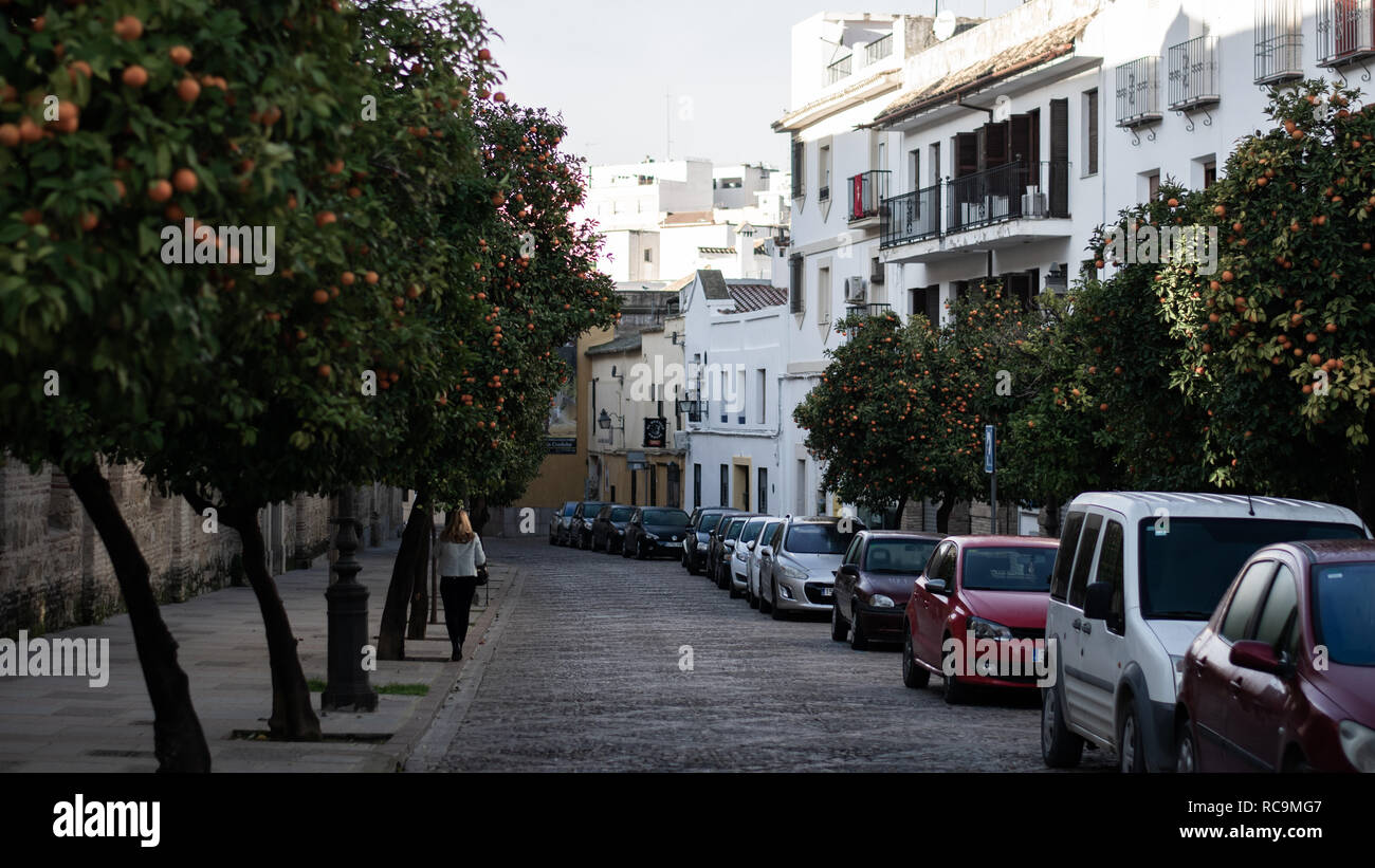 A photo of Cordoba's street during Christmas Season Stock Photo - Alamy