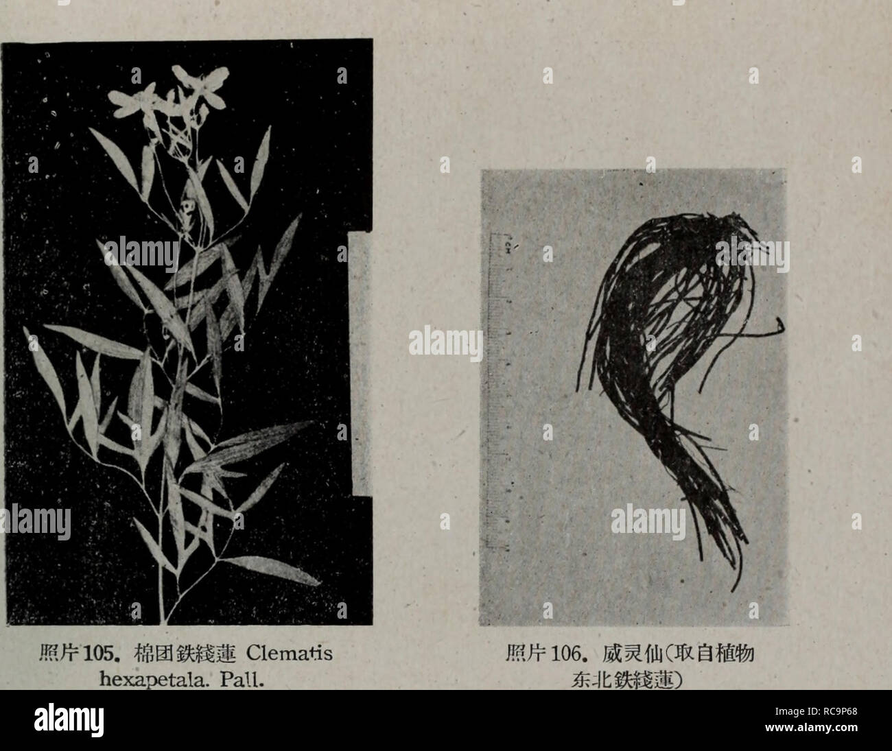 Chun hui hi-res stock photography and images - Alamy