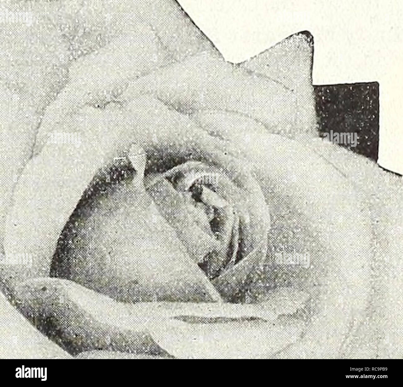 . Dreer's autumn catalogue 1931. Bulbs (Plants) Catalogs; Flowers Seeds ...