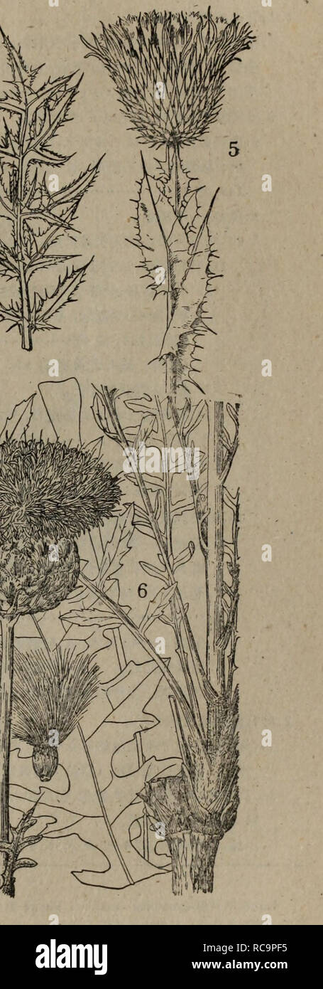 Ban biao hi-res stock photography and images - Alamy