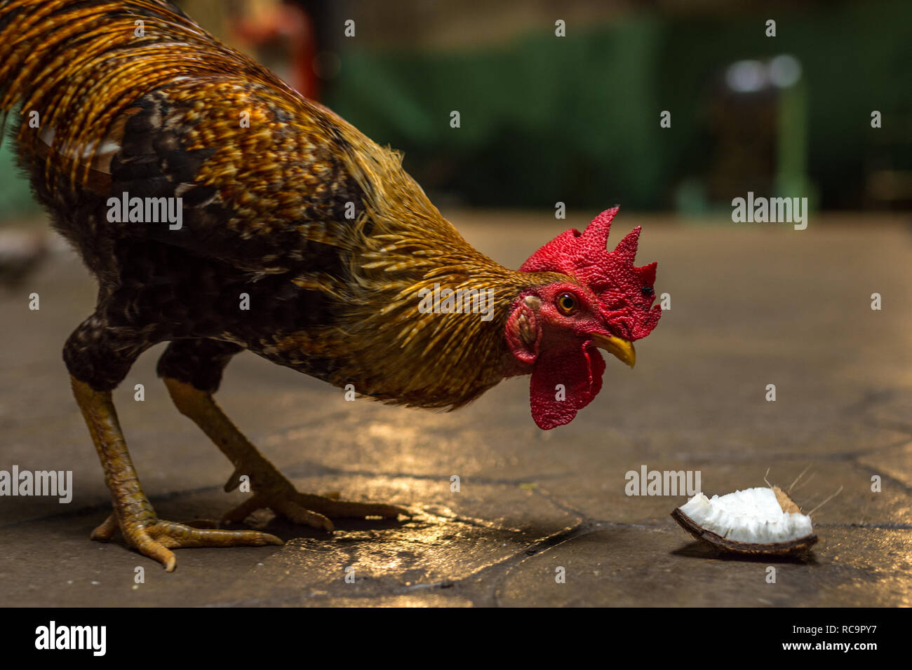 Cavestemple hi-res stock photography and images - Alamy