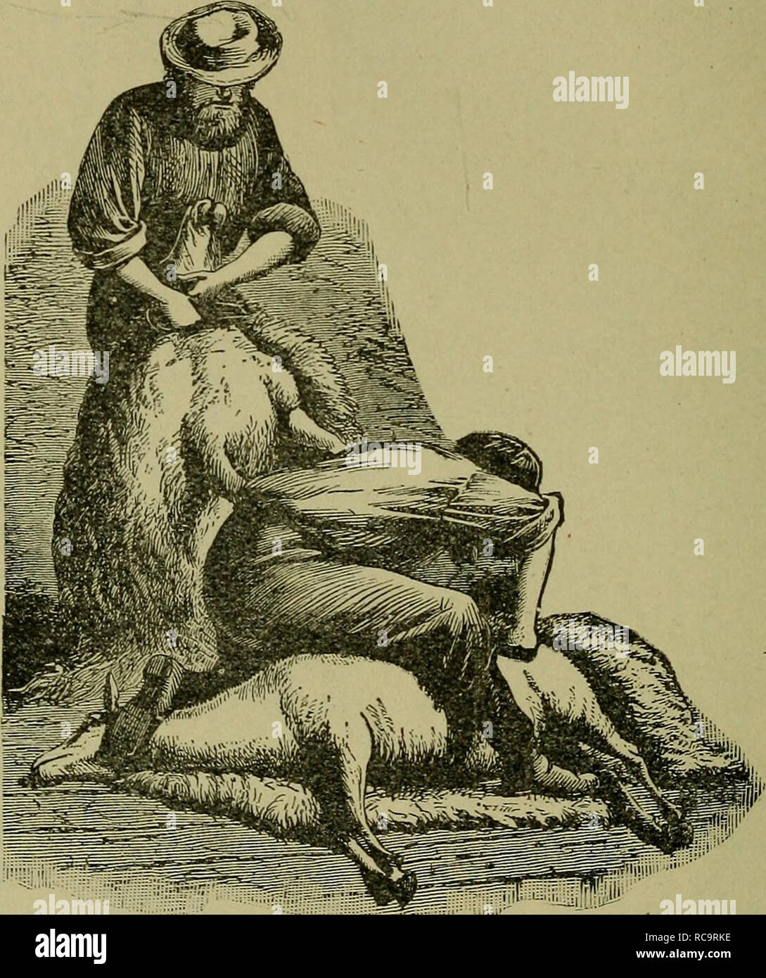 Little cuts on skin hi-res stock photography and images - Alamy