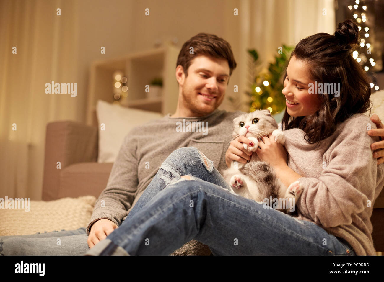 Couple cat hi-res stock photography and images - Alamy