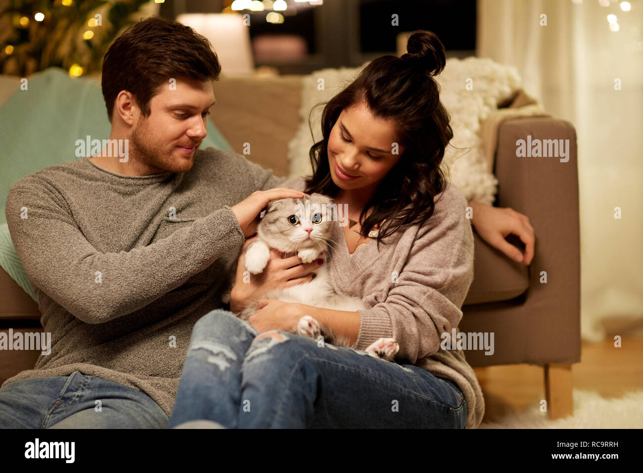 Couple cat hi-res stock photography and images - Alamy