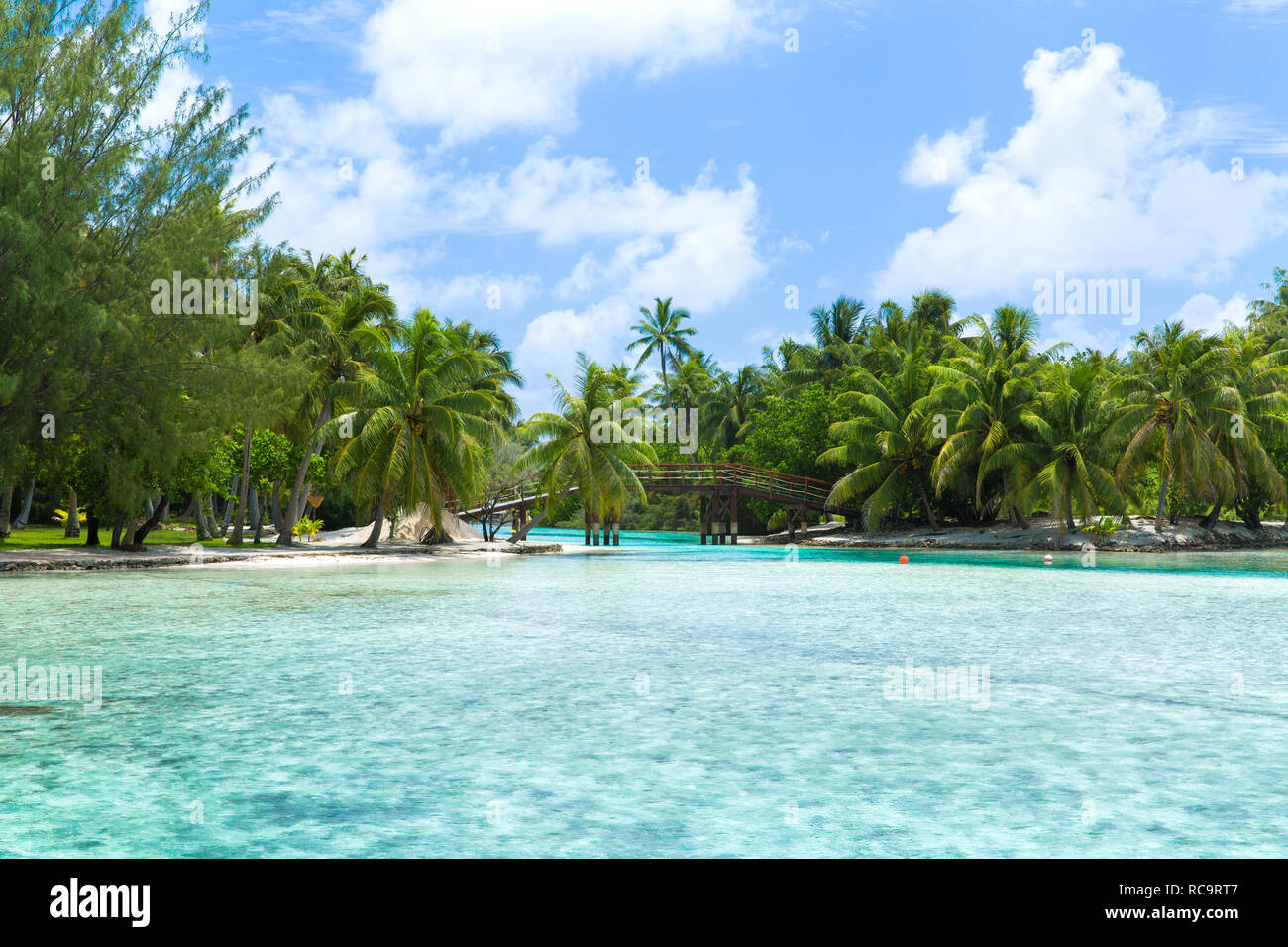 bridge on tropical beach in french polynesia Stock Photo - Alamy