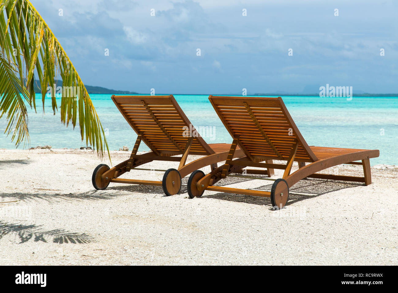 tropical beach with palm tree and sunbeds Stock Photo - Alamy