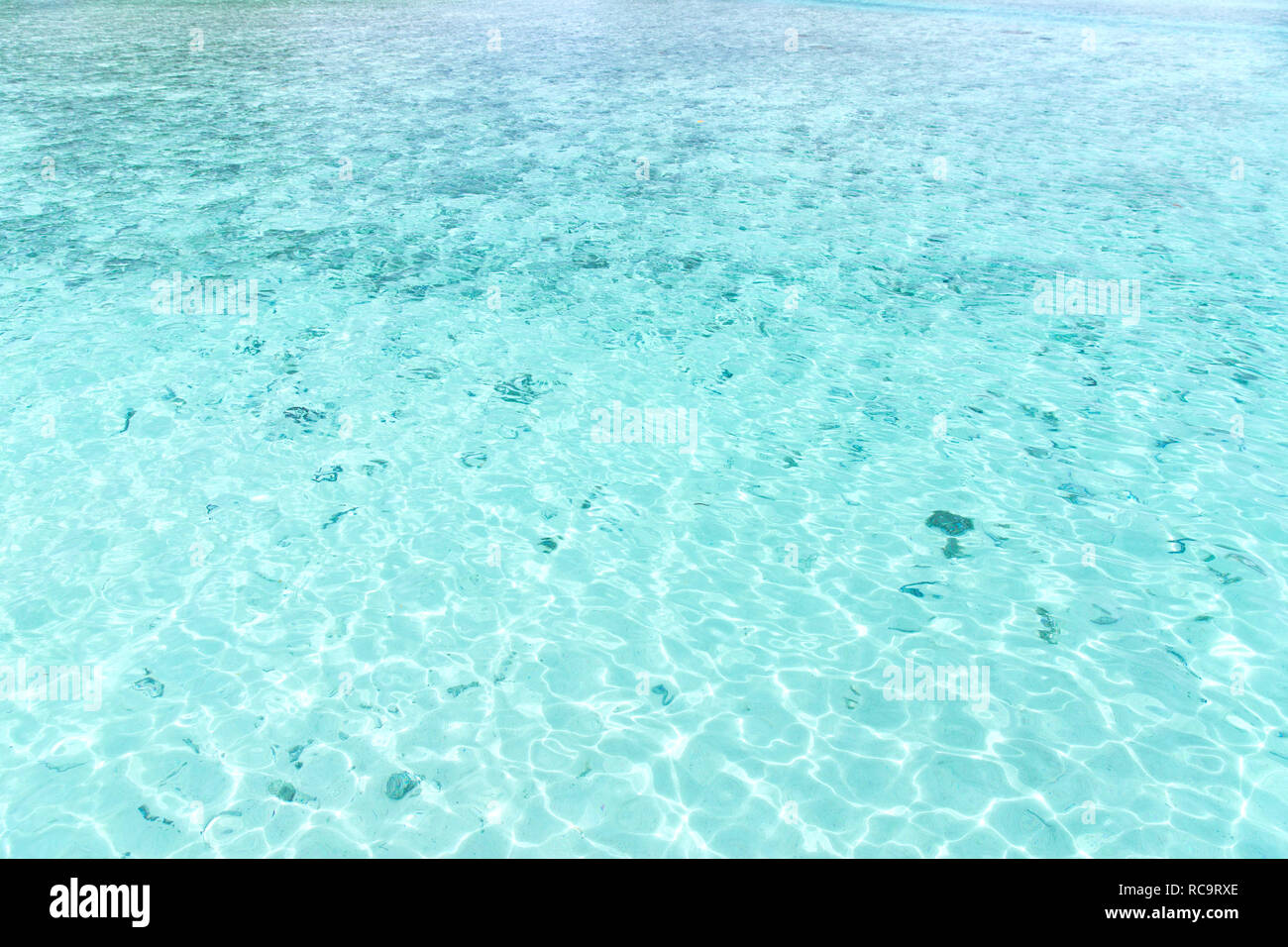 turquoise sea water of tropical lagoon Stock Photo - Alamy