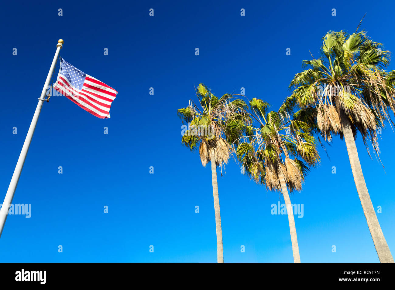 american flag and palm trees at venice beach Stock Photo - Alamy