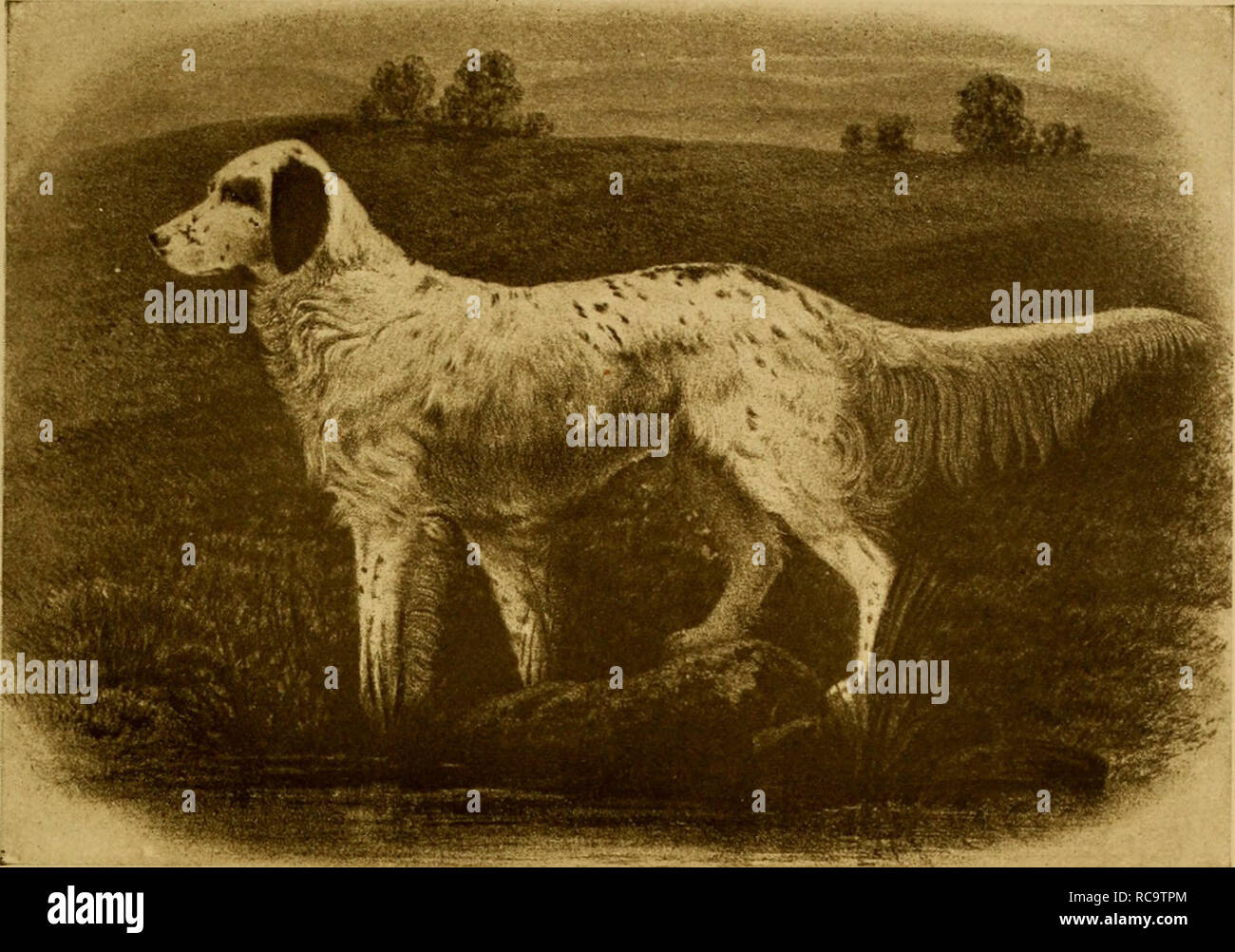 Laveracks hi-res stock photography and images - Alamy