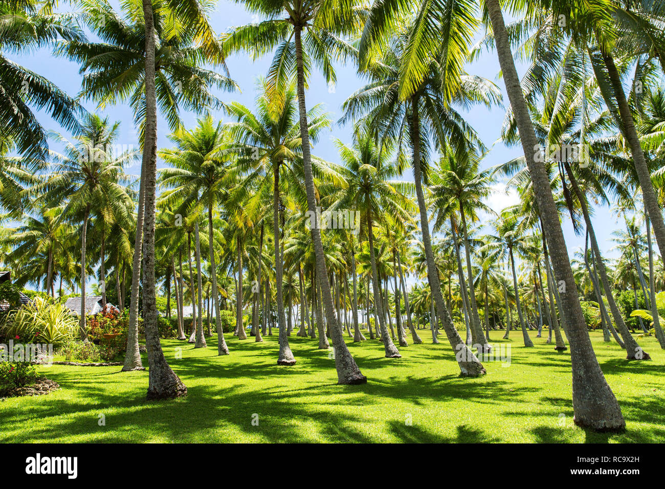 Scenic tropical view tahiti island hi-res stock photography and images ...
