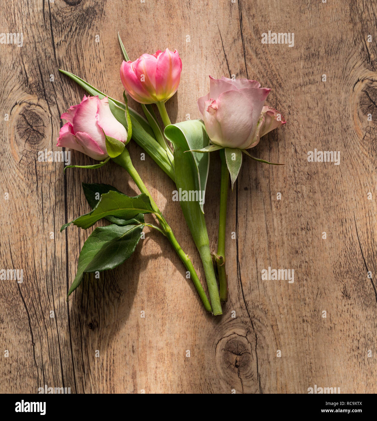 Flower still life Stock Photo - Alamy