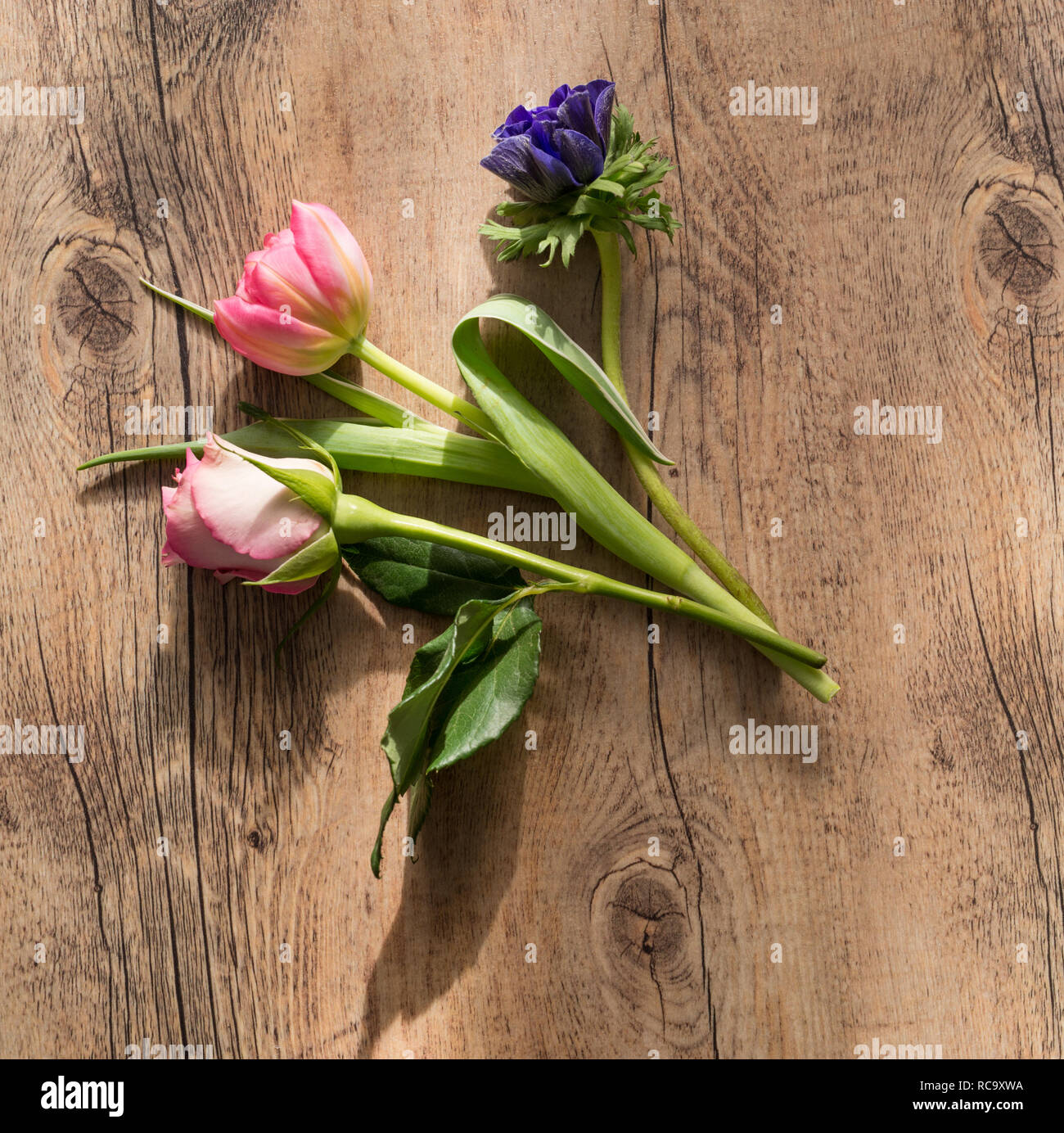 Flower still life Stock Photo - Alamy