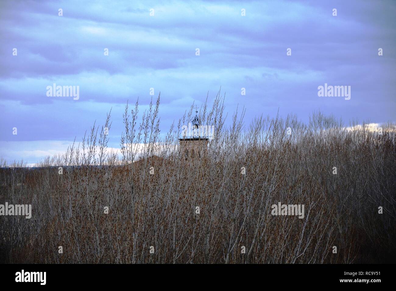the bell tower behind the trees Stock Photo - Alamy