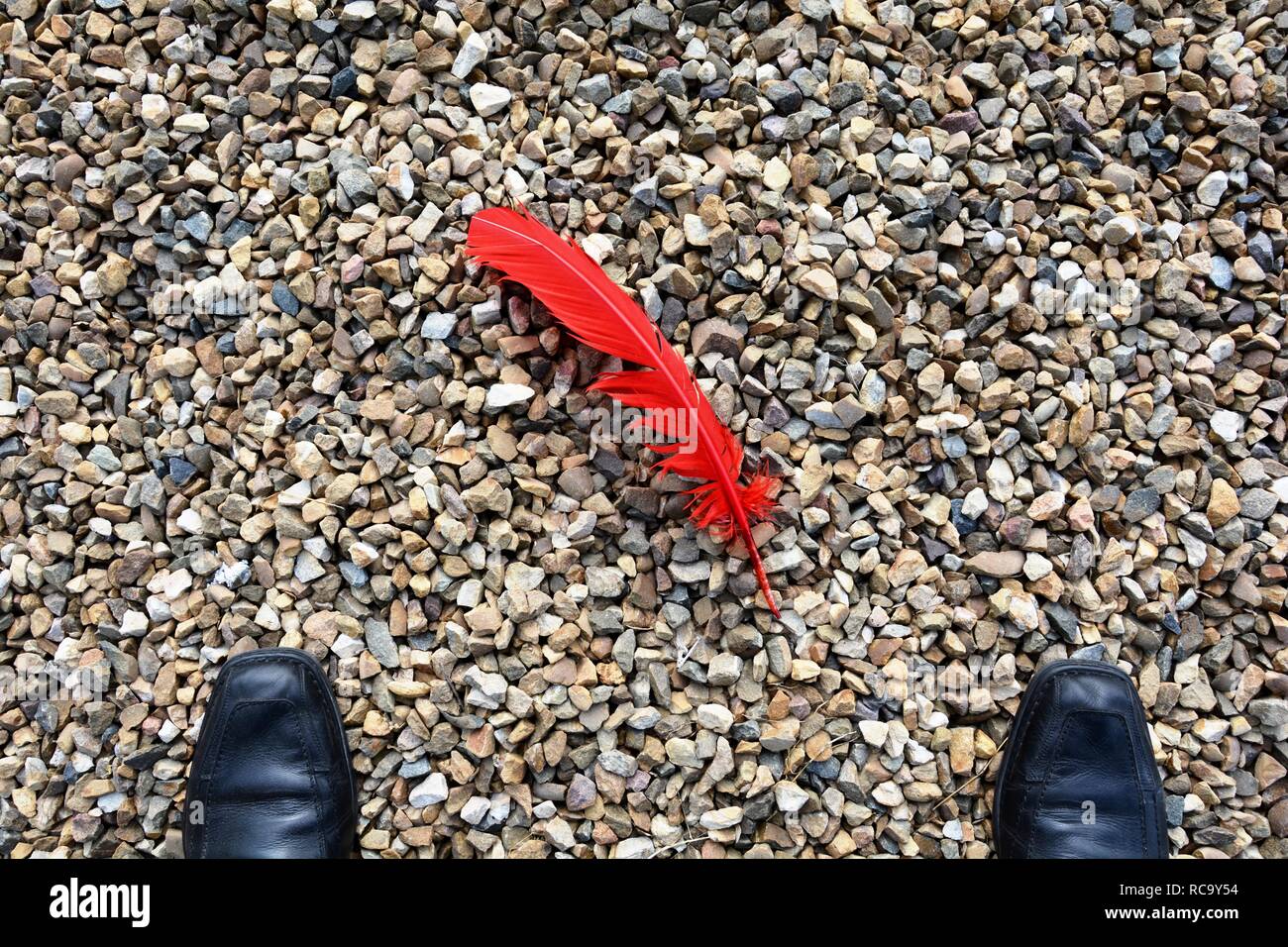 Close up pebbles sea shoe hi-res stock photography and images - Alamy
