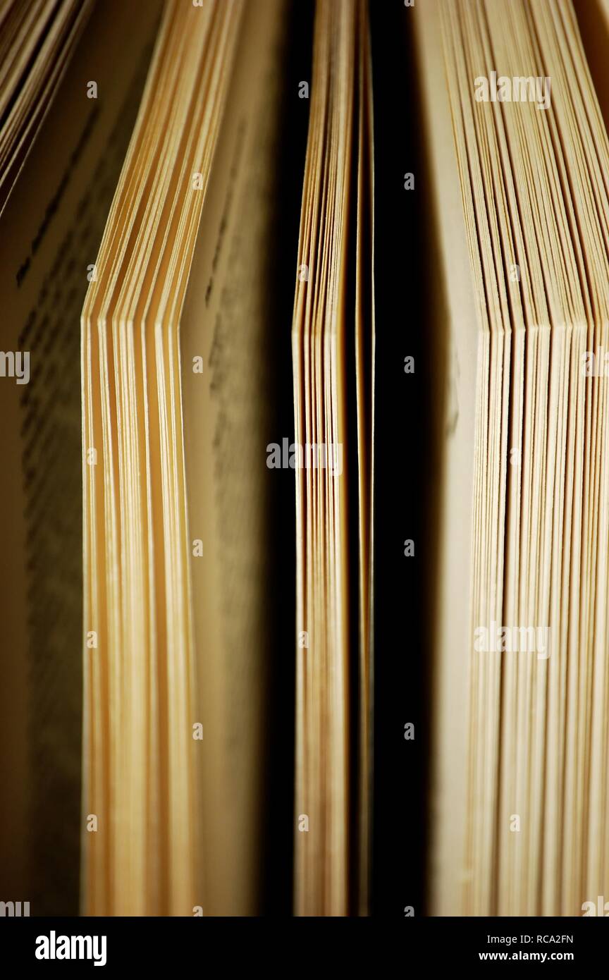 Pages Of A Book High Resolution Stock Photography and Images - Alamy