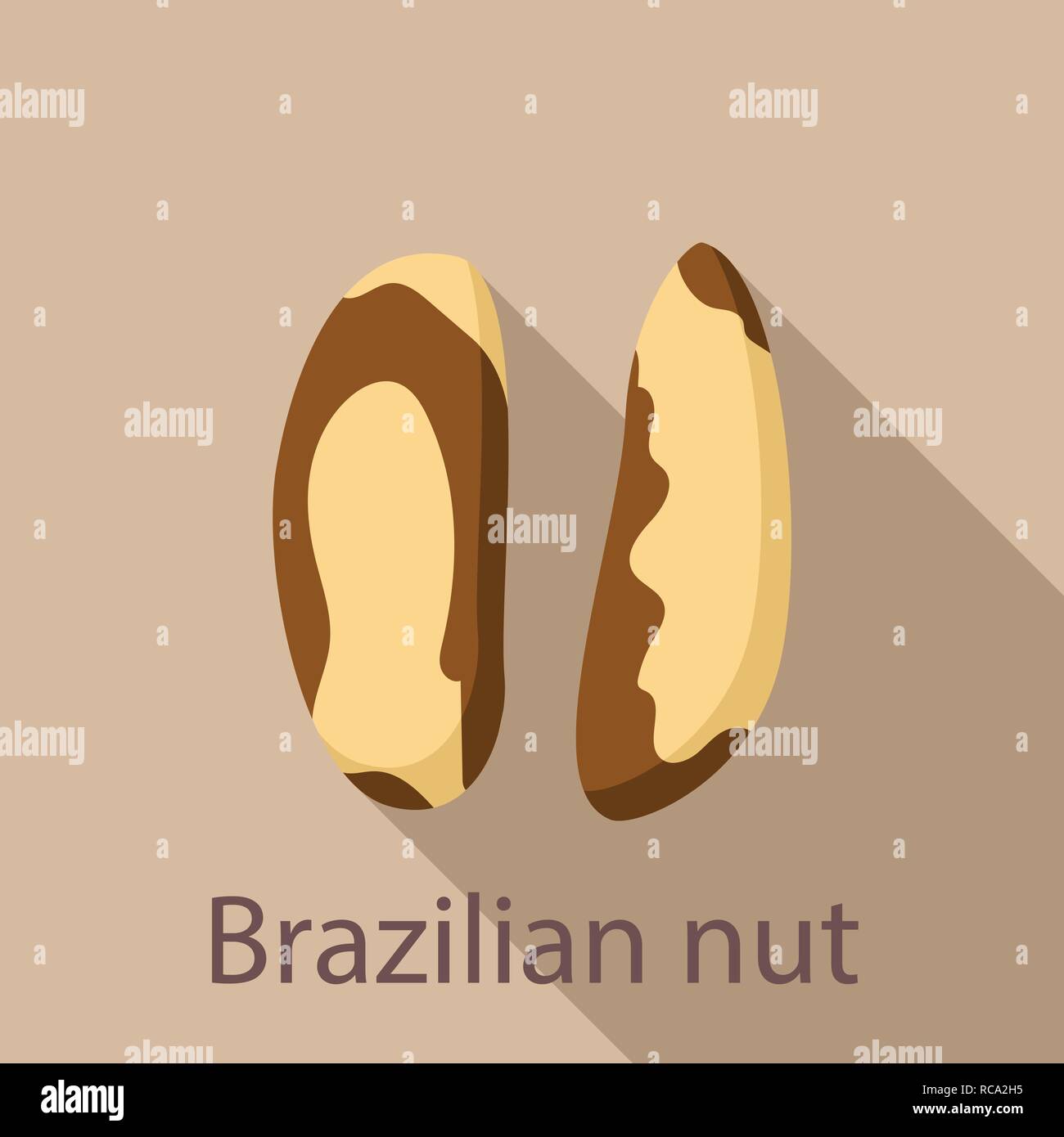 Brazilian nut icon, flat style Stock Vector Image & Art - Alamy