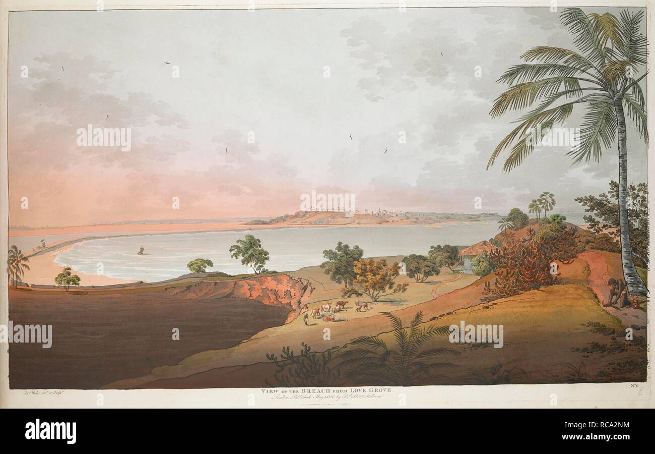 Cribb island hi-res stock photography and images - Alamy