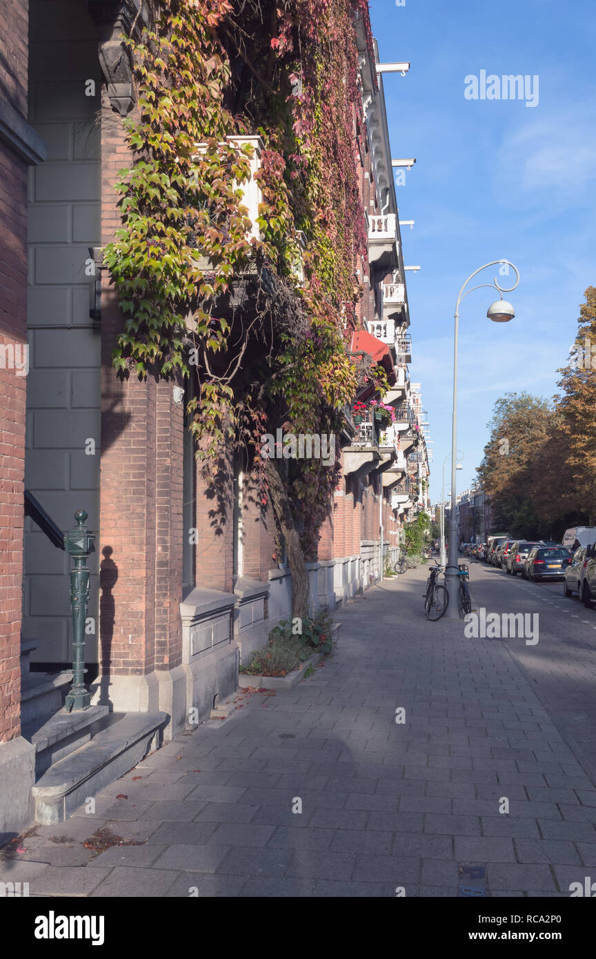 brick house facade with Virginia creeper decorating its facade Stock ...