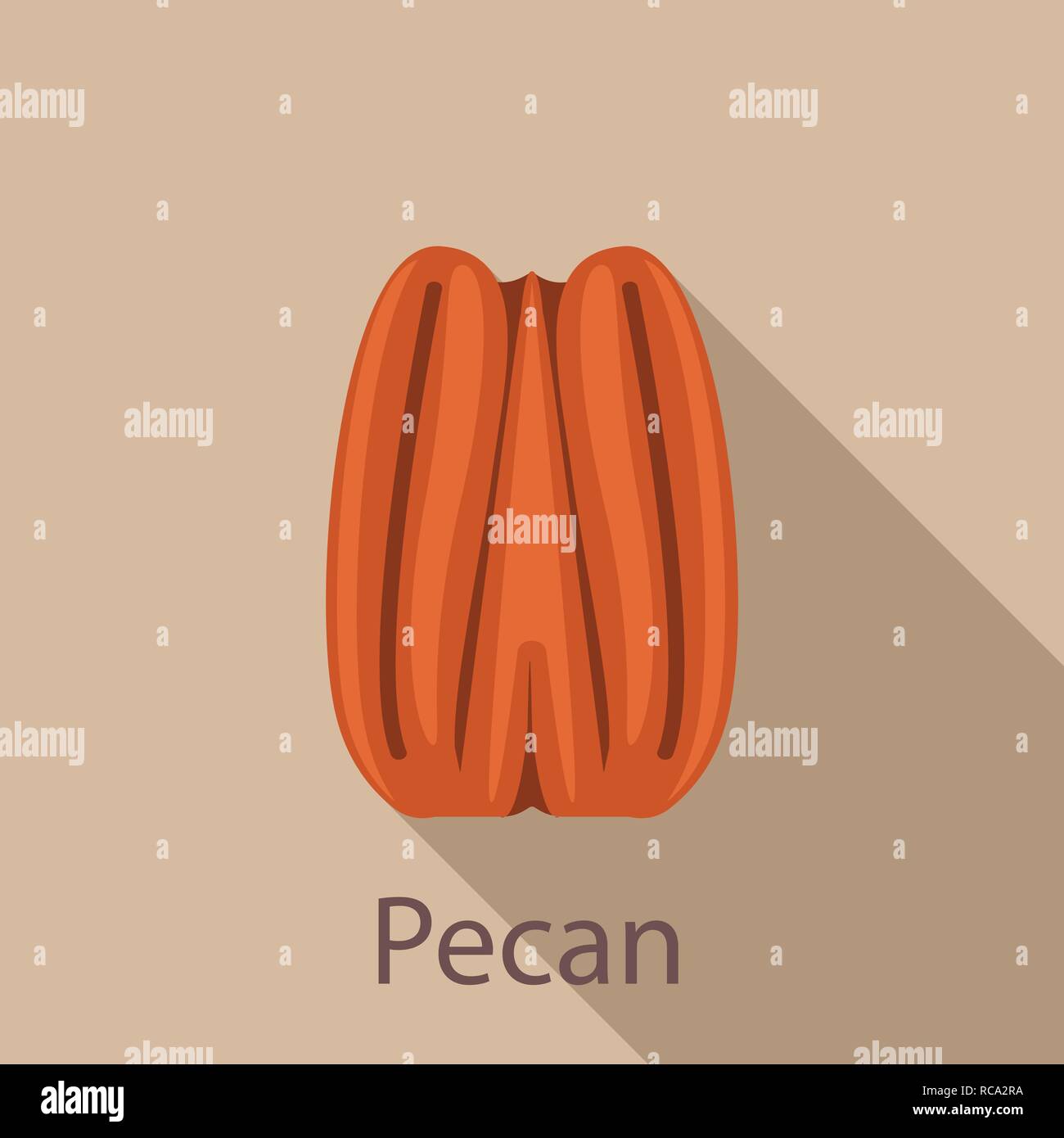 Pecan tree nut Stock Vector Images - Alamy
