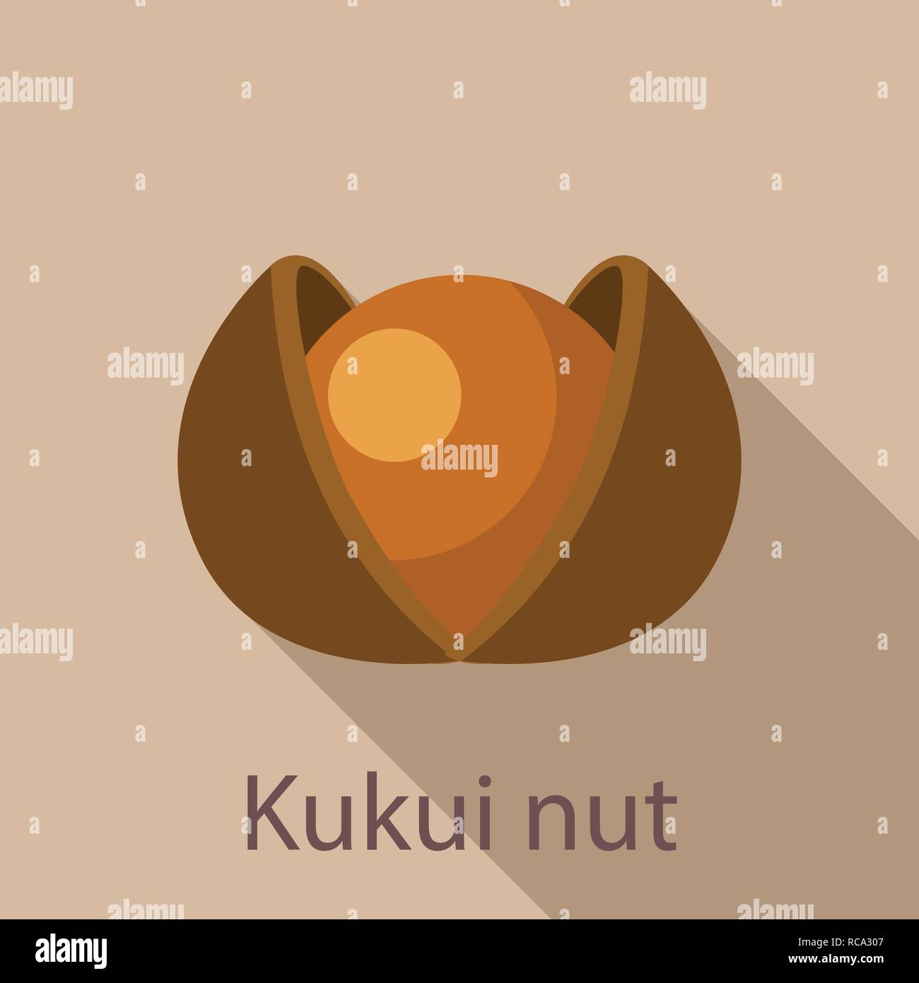 Kemiri Stock Vector Images - Alamy