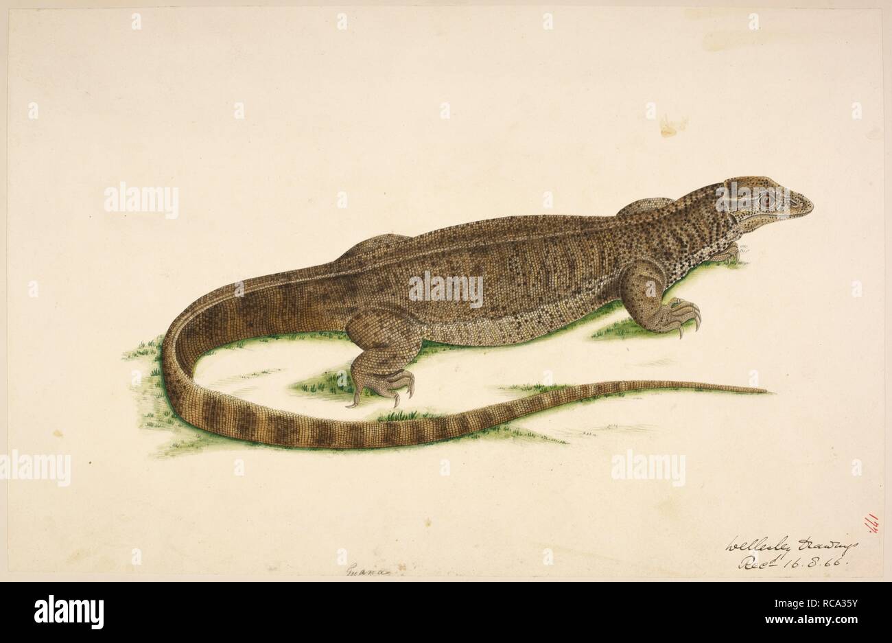 1798 drawings hi-res stock photography and images - Alamy
