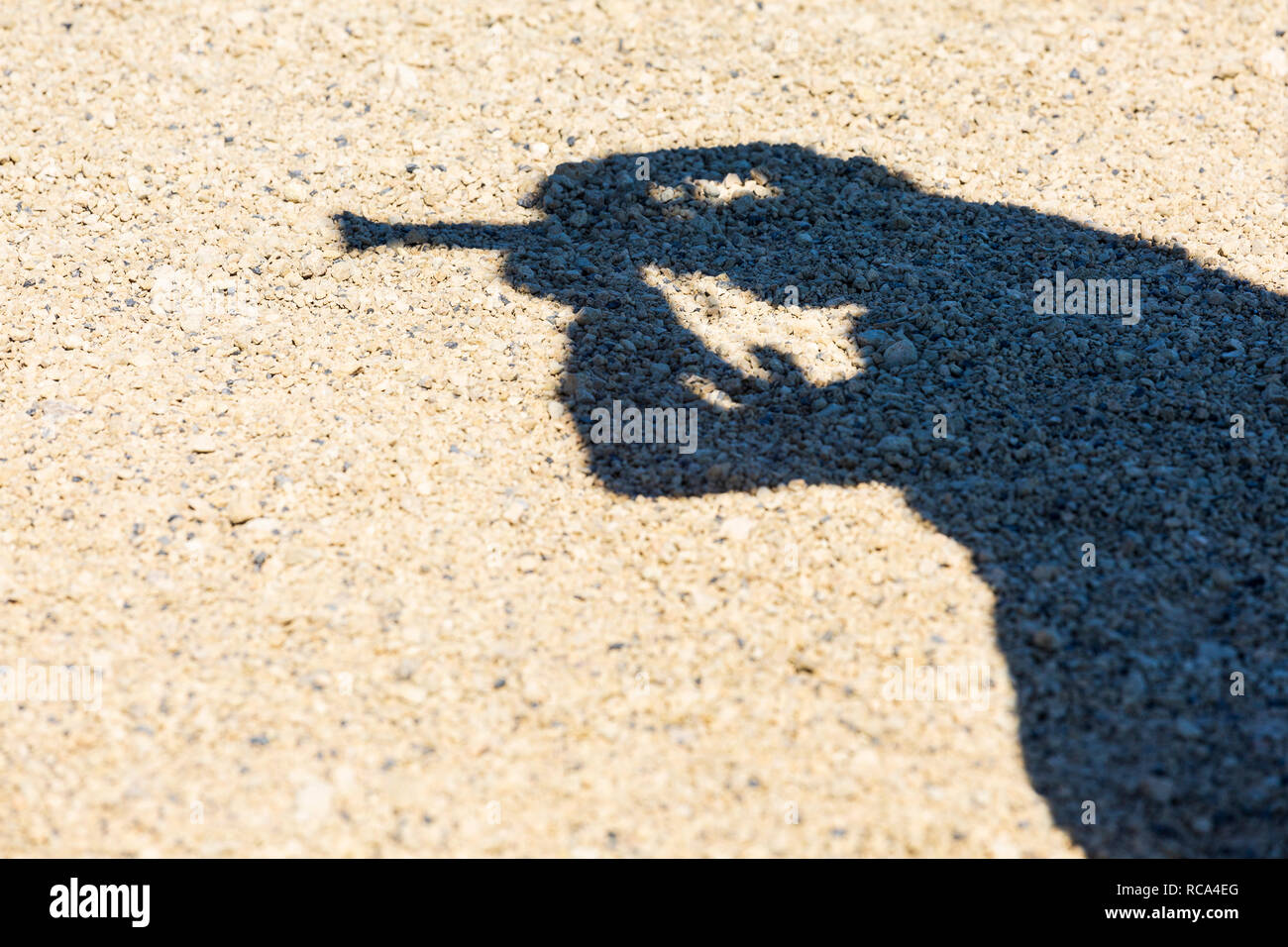Shadow of a photographer holding his camera to his face Stock Photo - Alamy