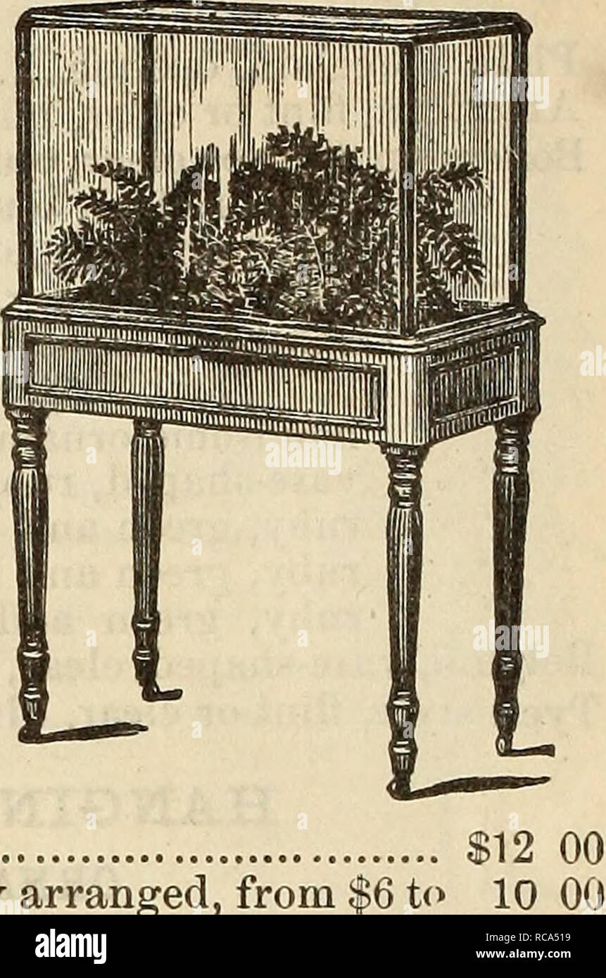 Wardian case hi-res stock photography and images - Alamy