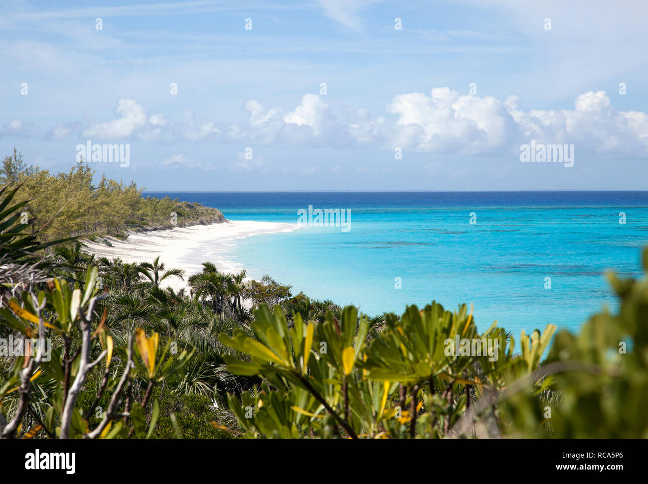 The scenic view of uninhabited Half Moon Cay island landscape (Bahamas ...