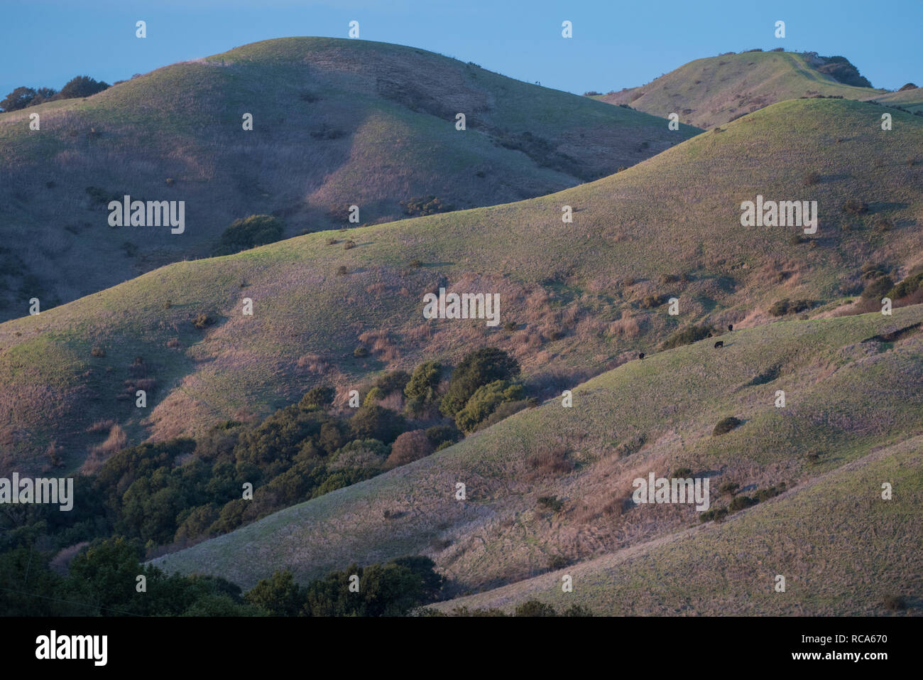 Gently Sloping High Resolution Stock Photography and Images - Alamy