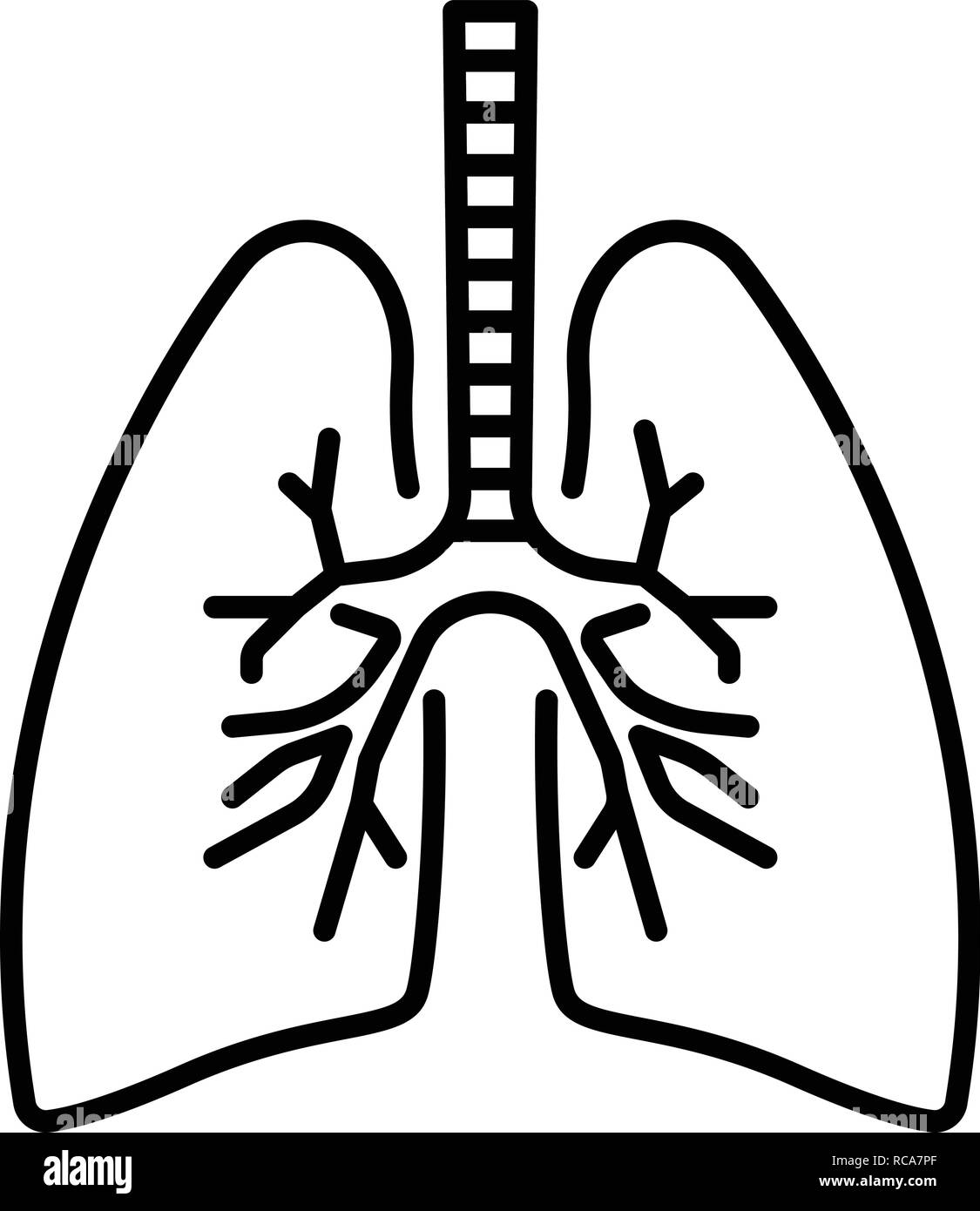 Lungs icon, outline style Stock Vector Image & Art - Alamy