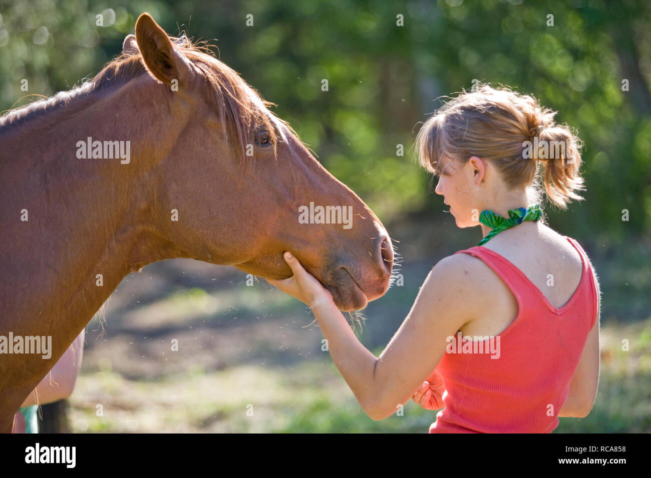 Pat day horse hi-res stock photography and images - Alamy