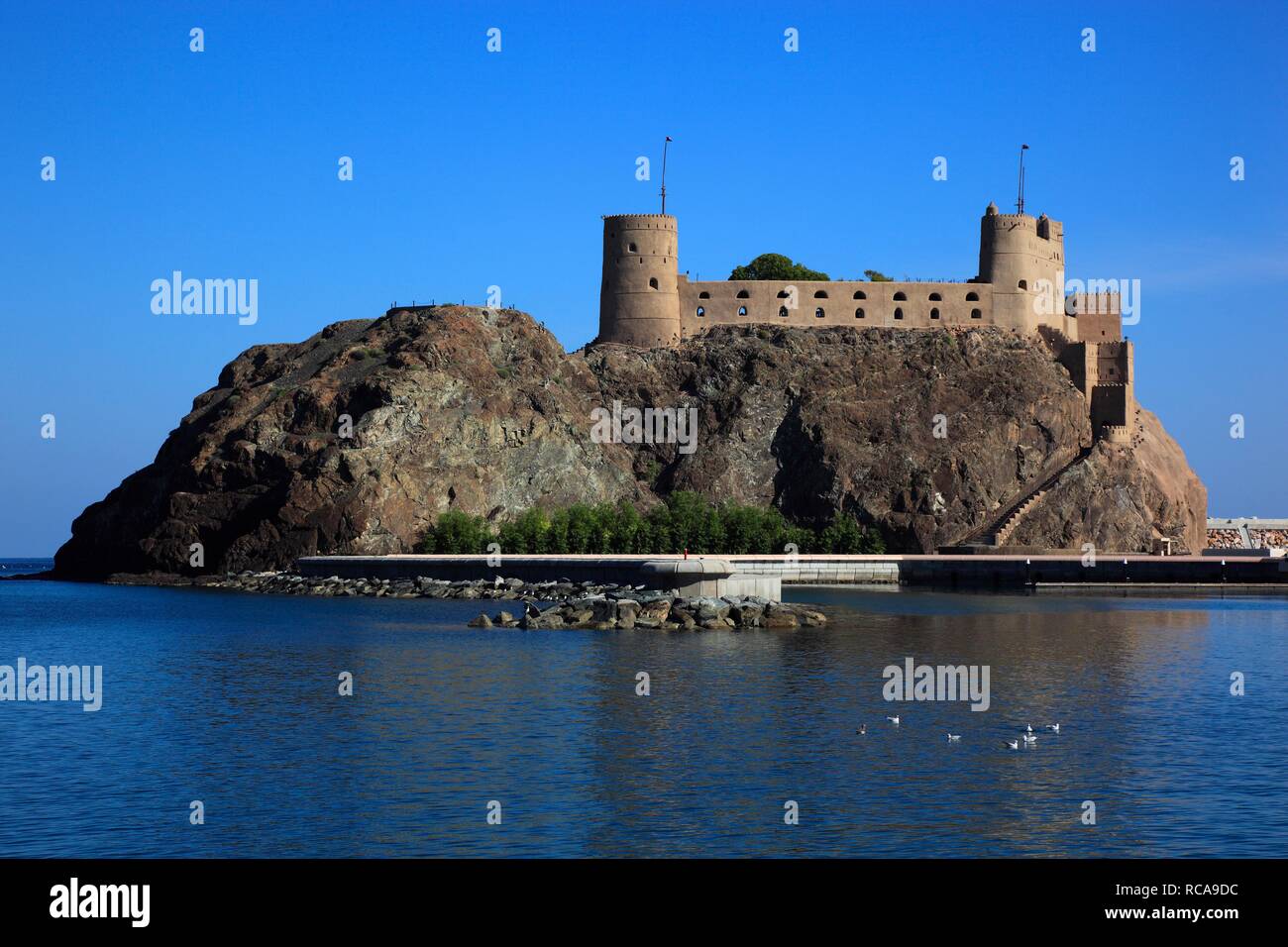 Fort Jalali, Muscat, Oman, Arabian Peninsula, Middle East, Asia Stock ...