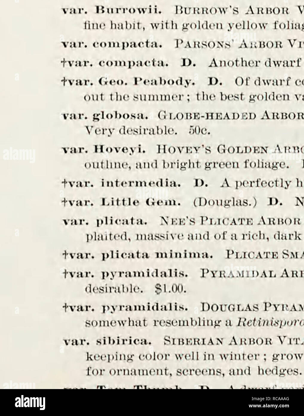 Oatat hi-res stock photography and images - Alamy