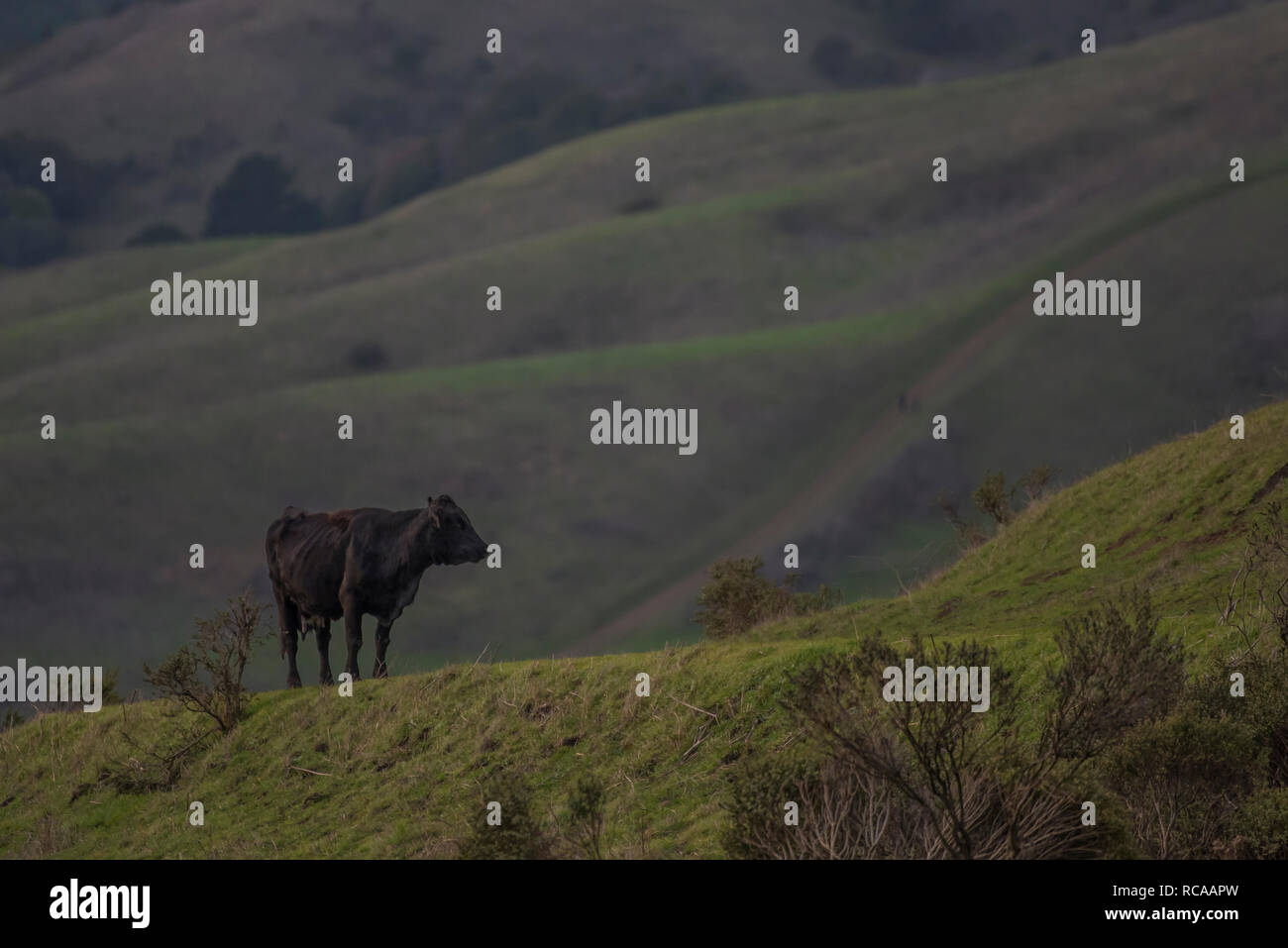 Black Hills Regional Park High Resolution Stock Photography and Images ...