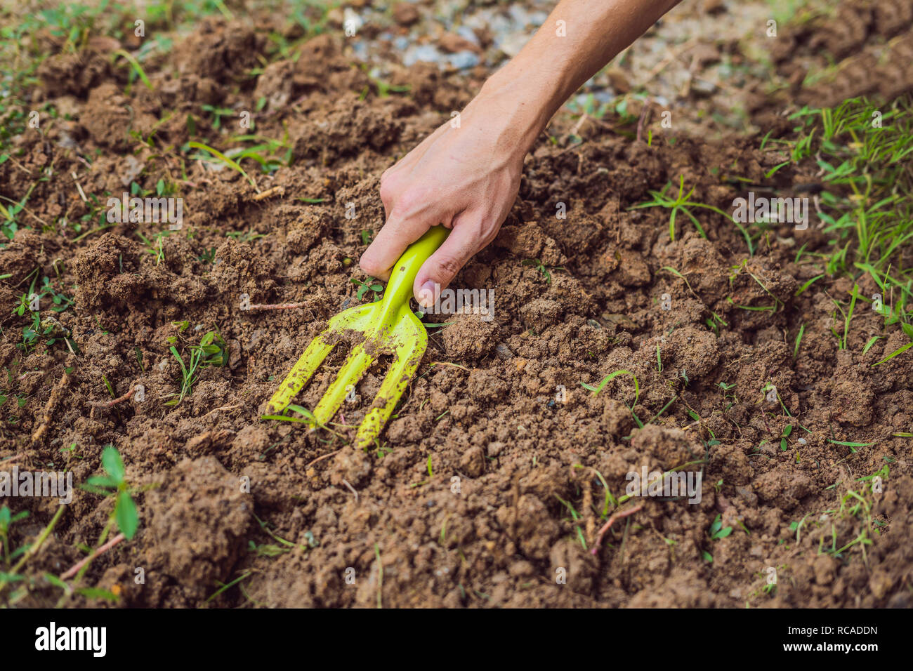 A man's hand with a garden tool. Man gardening Stock Photo - Alamy