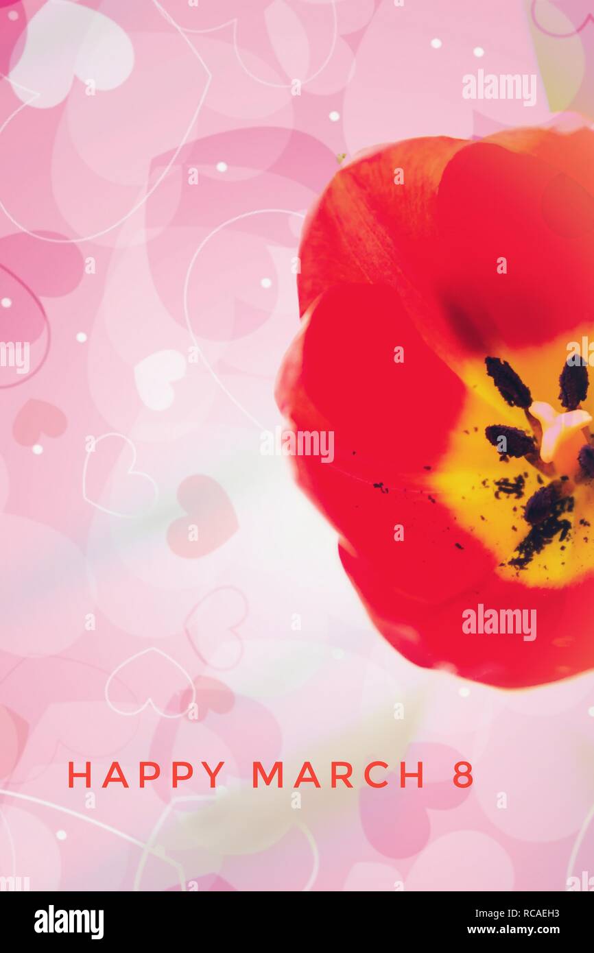 Postcard on March 8. Congratulations on the feast of women. Photos with ...