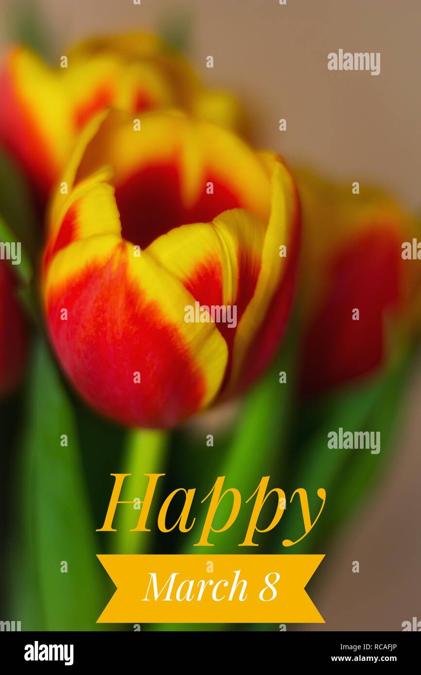 Postcard on March 8. Congratulations on the feast of women. Photos with ...