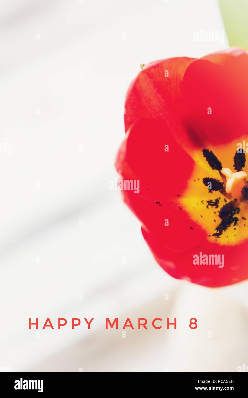Postcard on March 8. Congratulations on the feast of women. Photos with ...