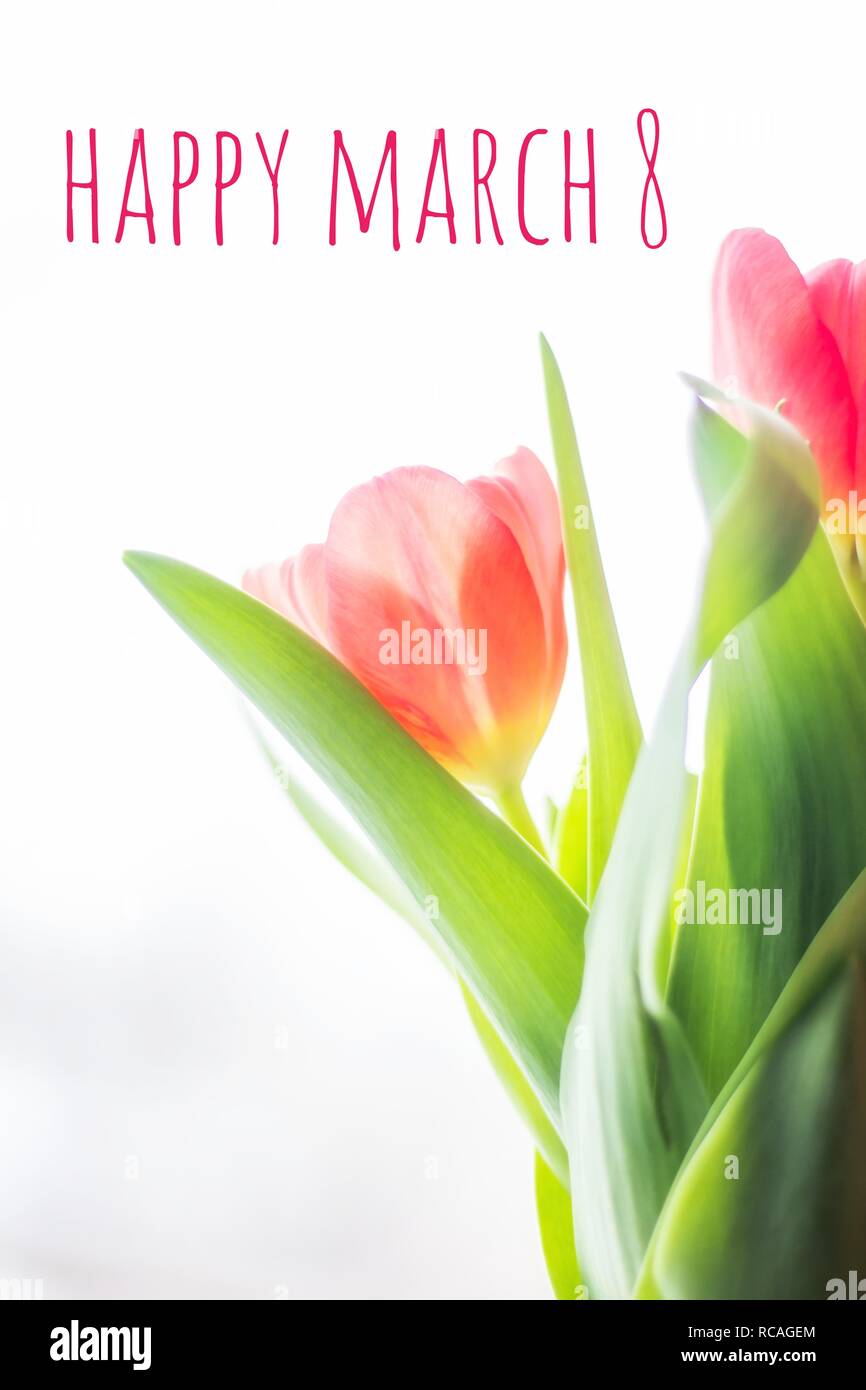 Postcard on March 8. Congratulations on the feast of women. Photos with ...